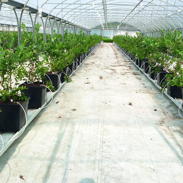 Boutique - Degrav'Agri