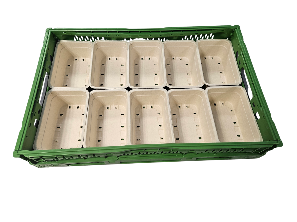 Barquettes en cellulose moulée - Degrav'Agri