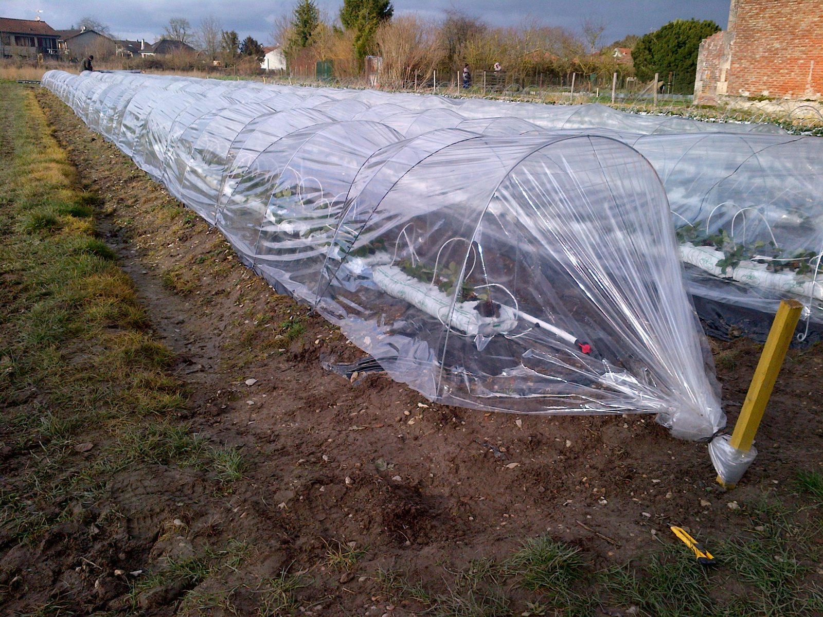 Semi forçage pour chenille - Degrav'Agri