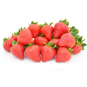 Degrav'Agri - distributeur et pépiniériste spécialisé en fruits rouges