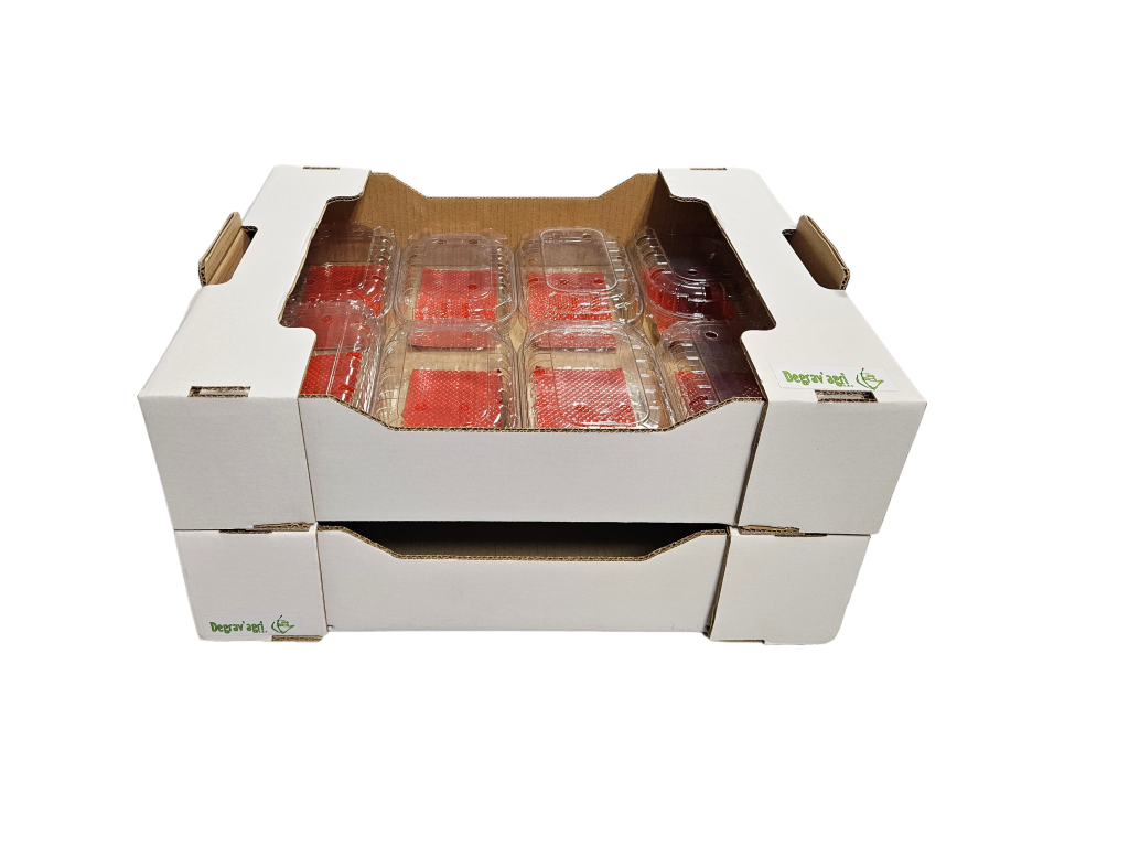 Plateaux carton 30 x 40 cm - Degrav'Agri