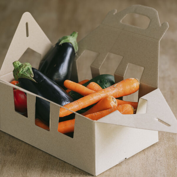 Degrav'Agri - distributeur et pépiniériste spécialisé en fruits rouges